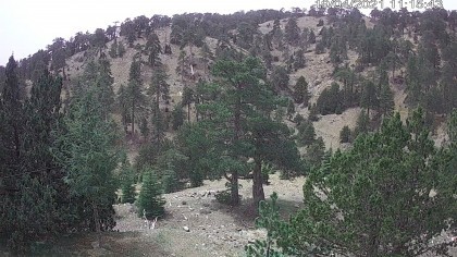 Troodos Mountains, Cyprus - Webcams