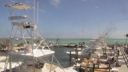 Islamorada - Whale Harbor Marina, Florida (USA) - Webcams