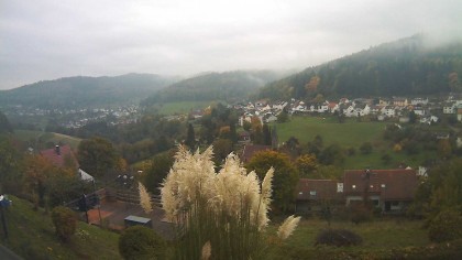 Wilhelmsfeld - Panoramic view, Germany - Webcams